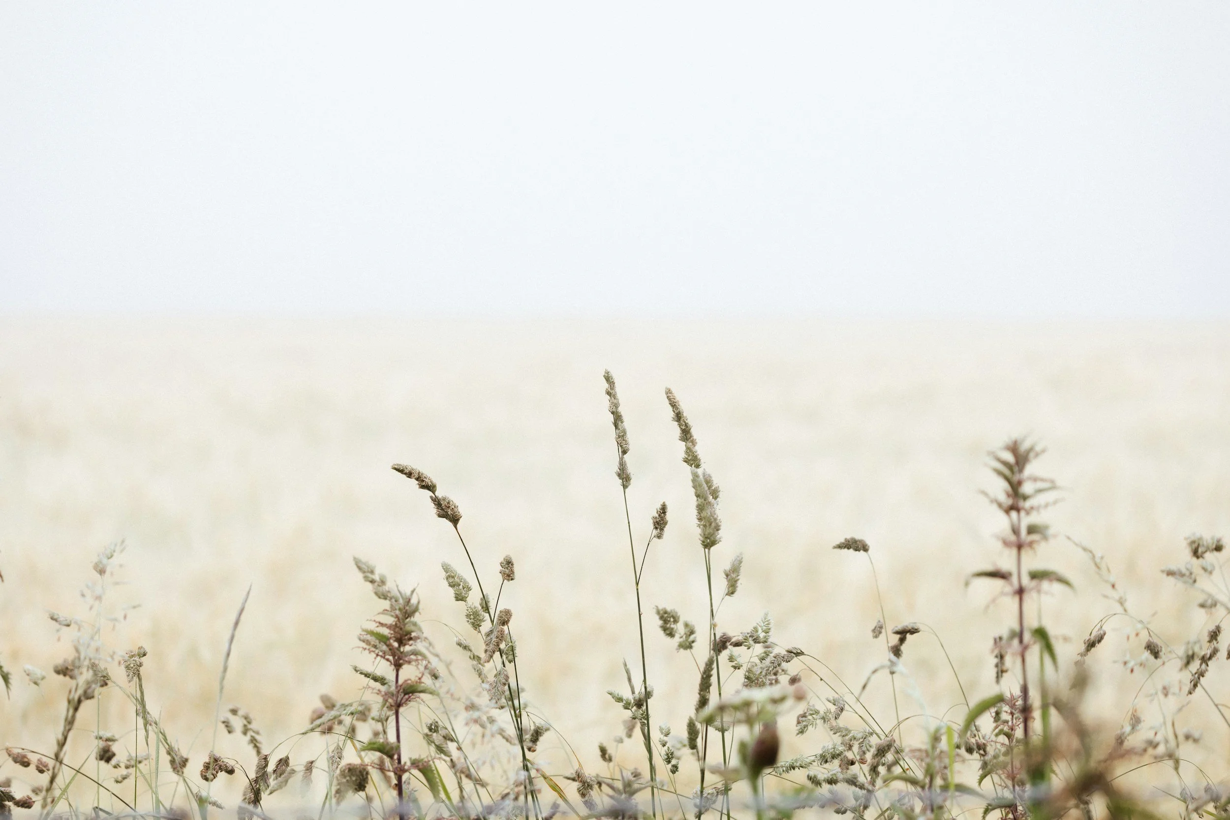 Functional Medicine Austin - Cellular & Longevity Medicine