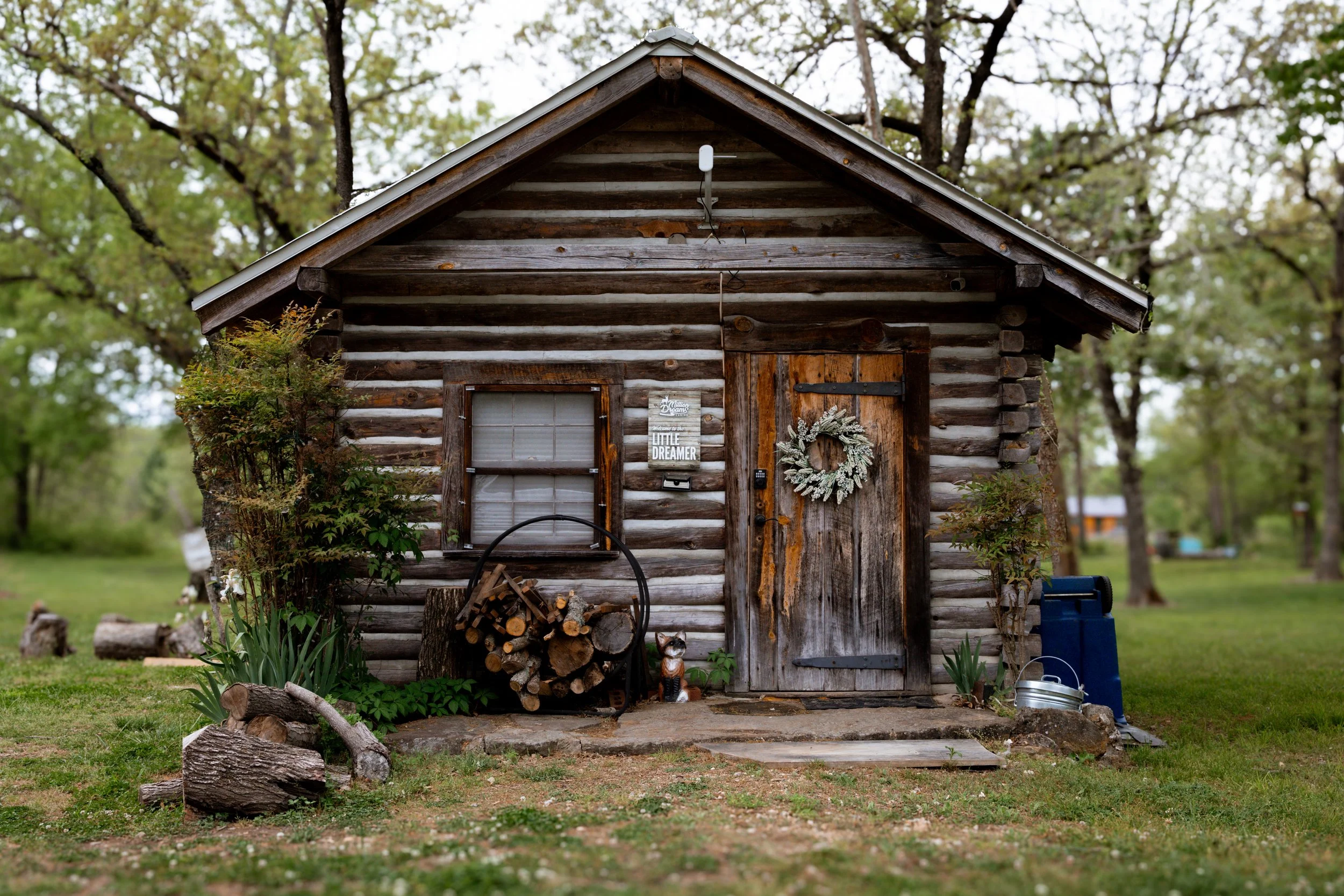 A Million Dream Cabins