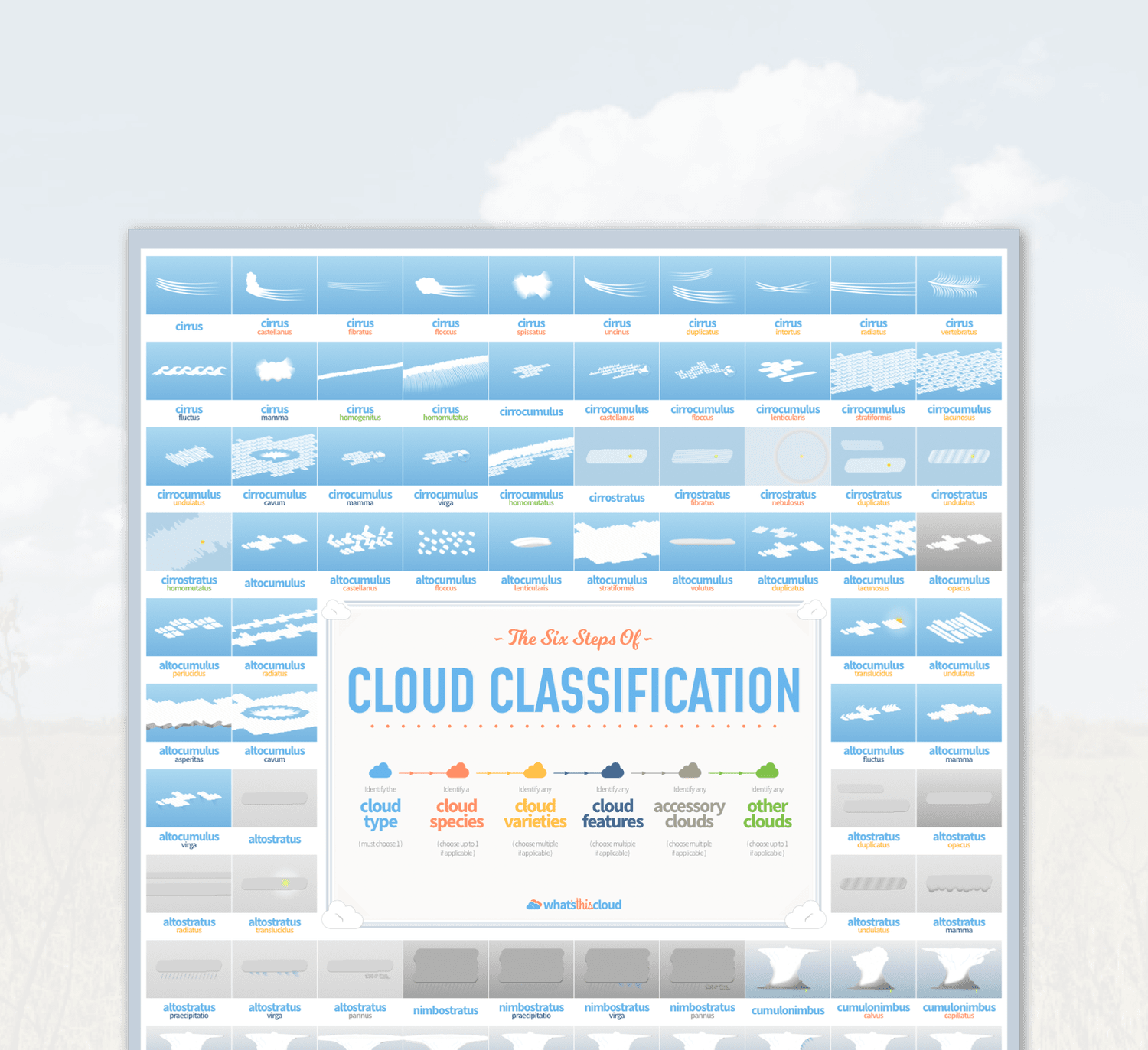 Cloud Classification Poster - 24x36 | WhatsThisCloud