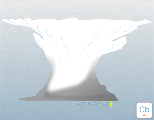 Cloud Species | WhatsThisCloud