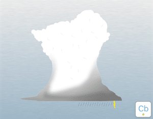 Cloud Species | WhatsThisCloud