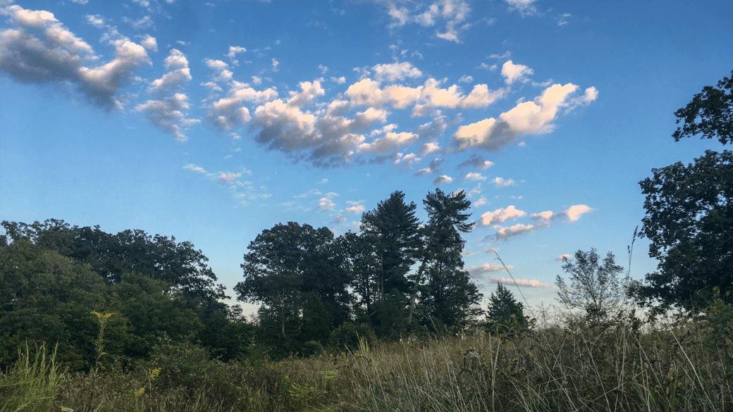 Altocumulus floccus (Ac flo) | WhatsThisCloud