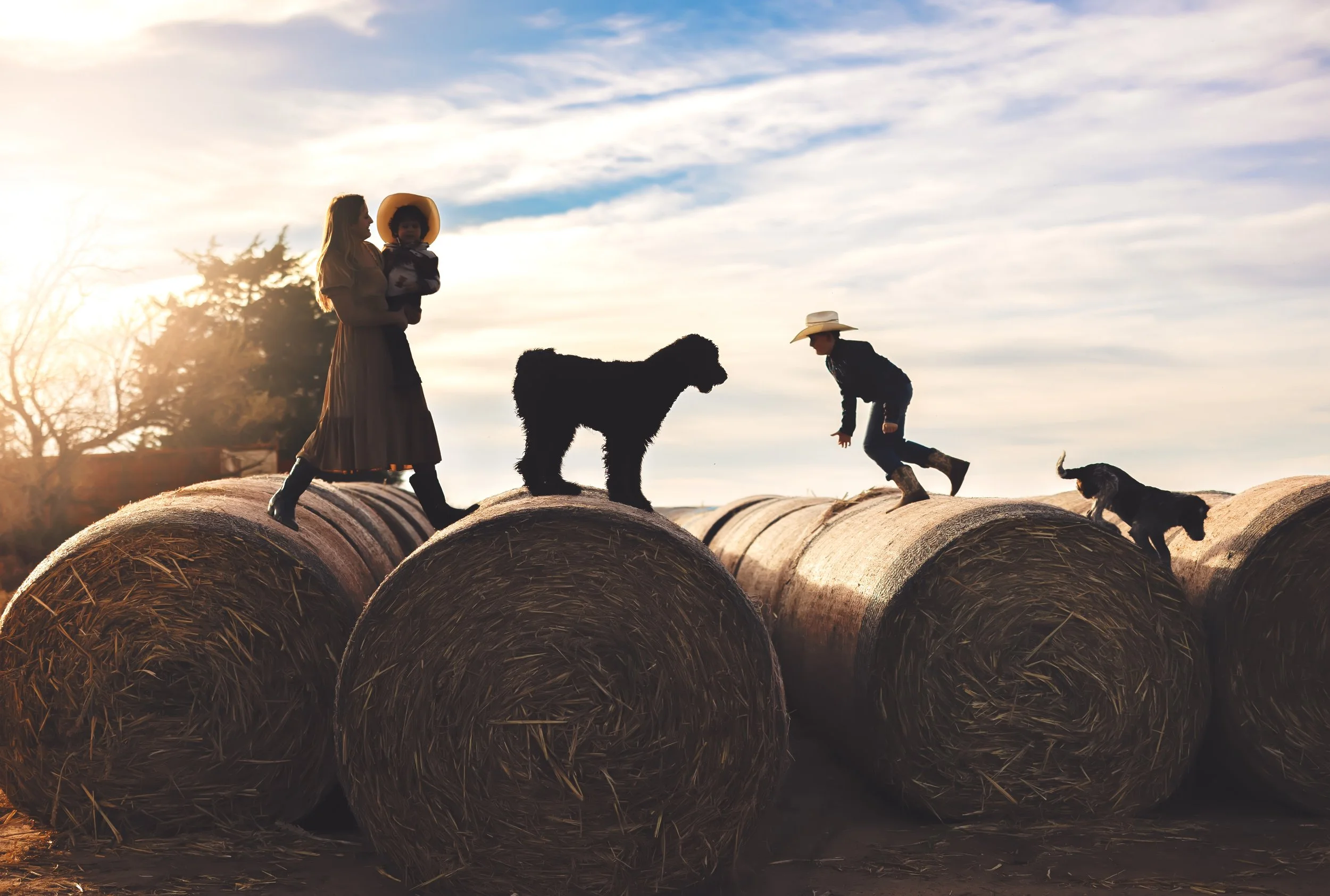 The Wholly Cow Market | High-Quality Grass-Fed Beef | Johnson, KS
