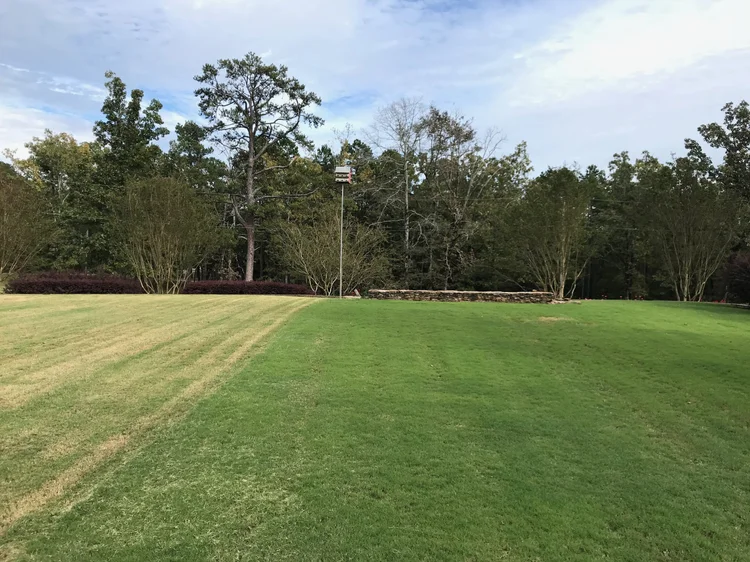 Mowing Matters — Natural State Horticare