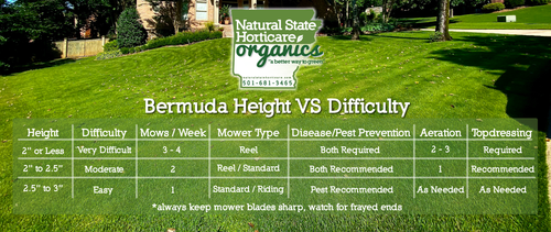 Bermudagrass — Natural State Horticare