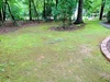 How To Grow Moss — Natural State Horticare