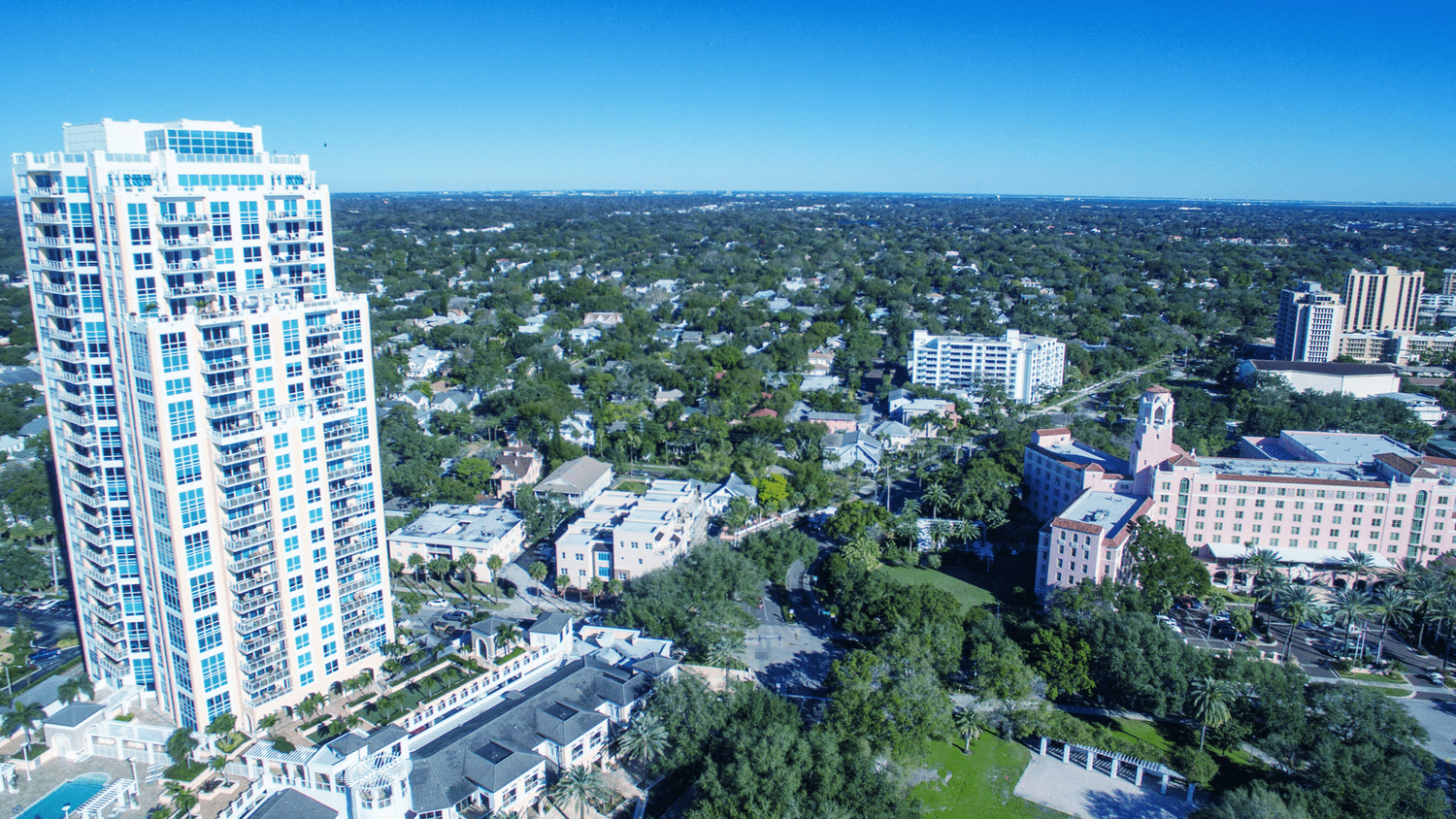 Pinellas Point in Time Data — Pinellas Continuum of Care (CoC)