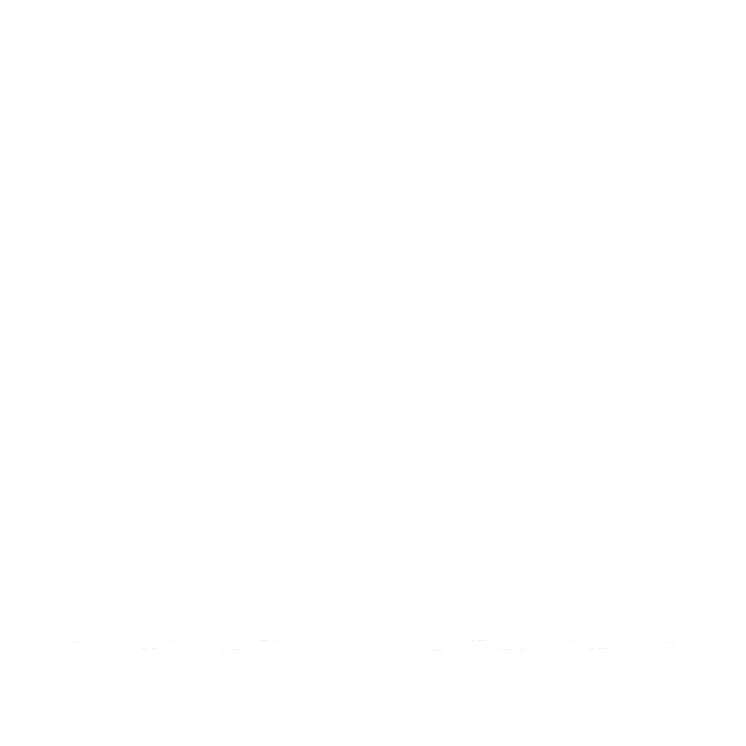 How Stump Grinding Improves Landscape Appearance and Function