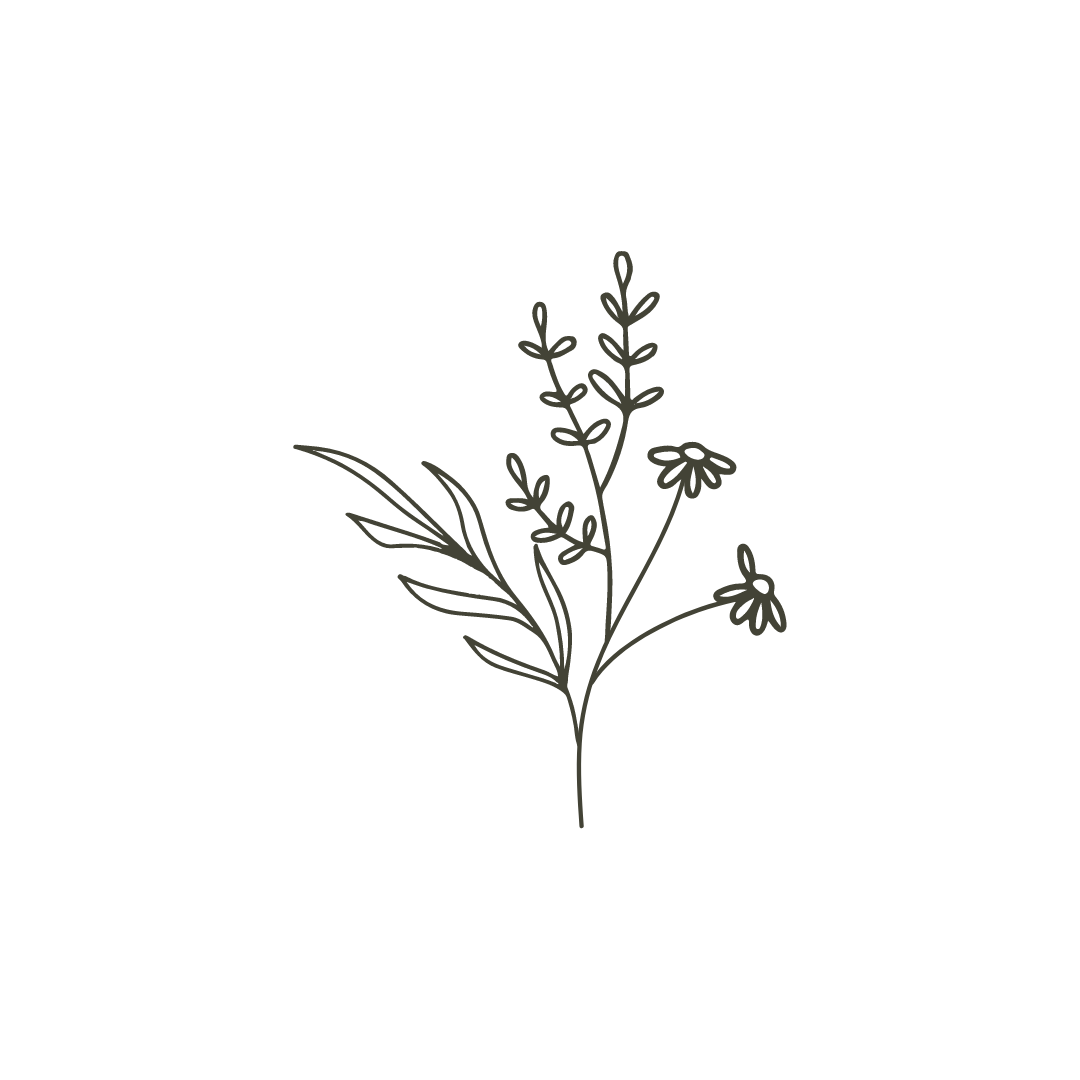 Switchback Counseling