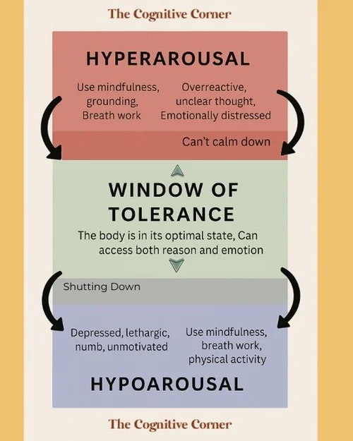 Understanding the Window of Tolerance: Hyperarousal & Hypoarousal — The ...
