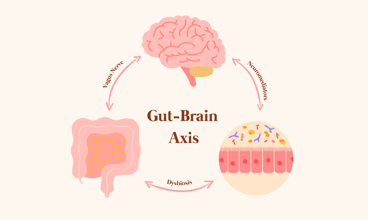 Gut and brain connection, mental health in Canada — The Cognitive Corner