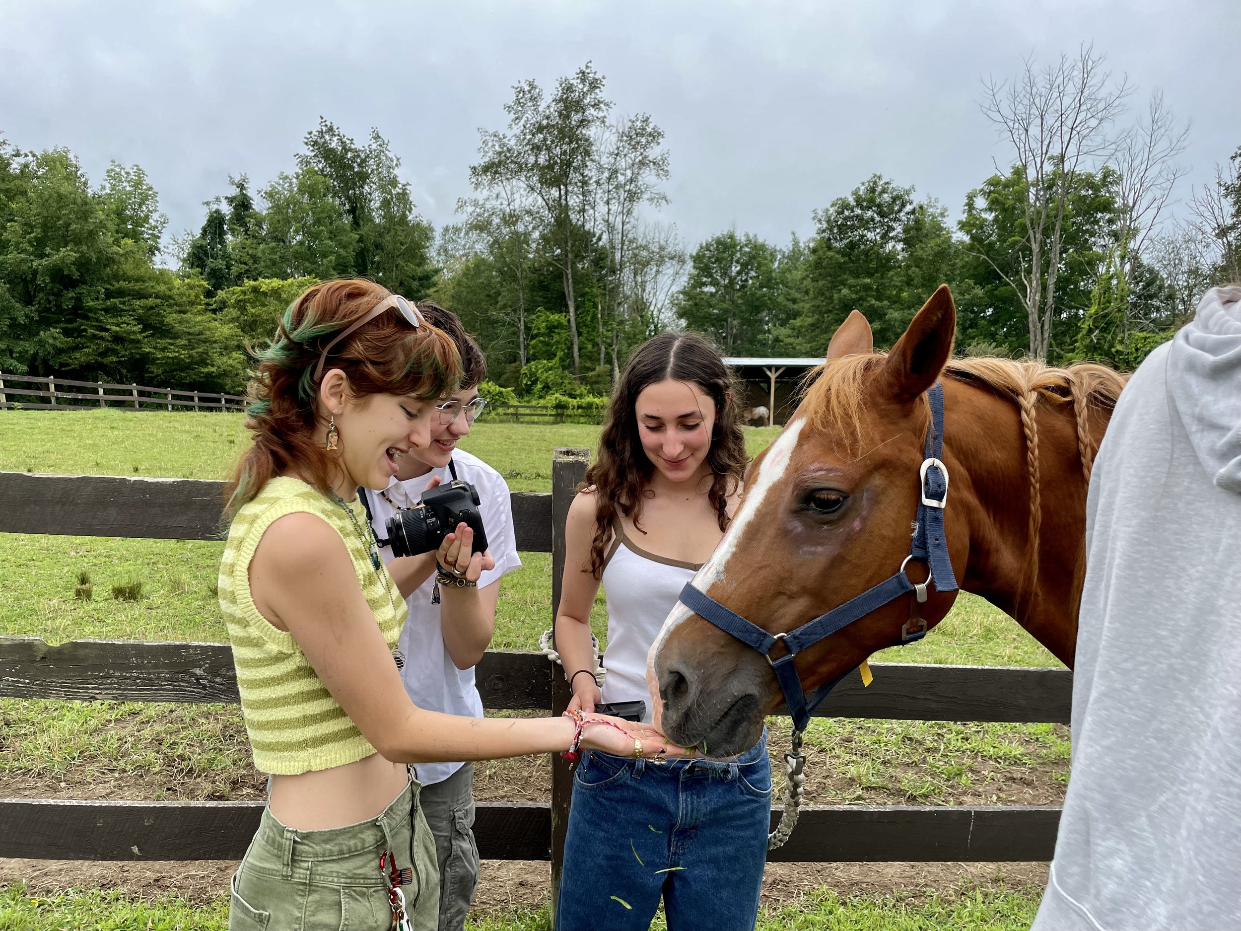 Outdoor Education and More Summer Camp Programs — Camp Ballibay