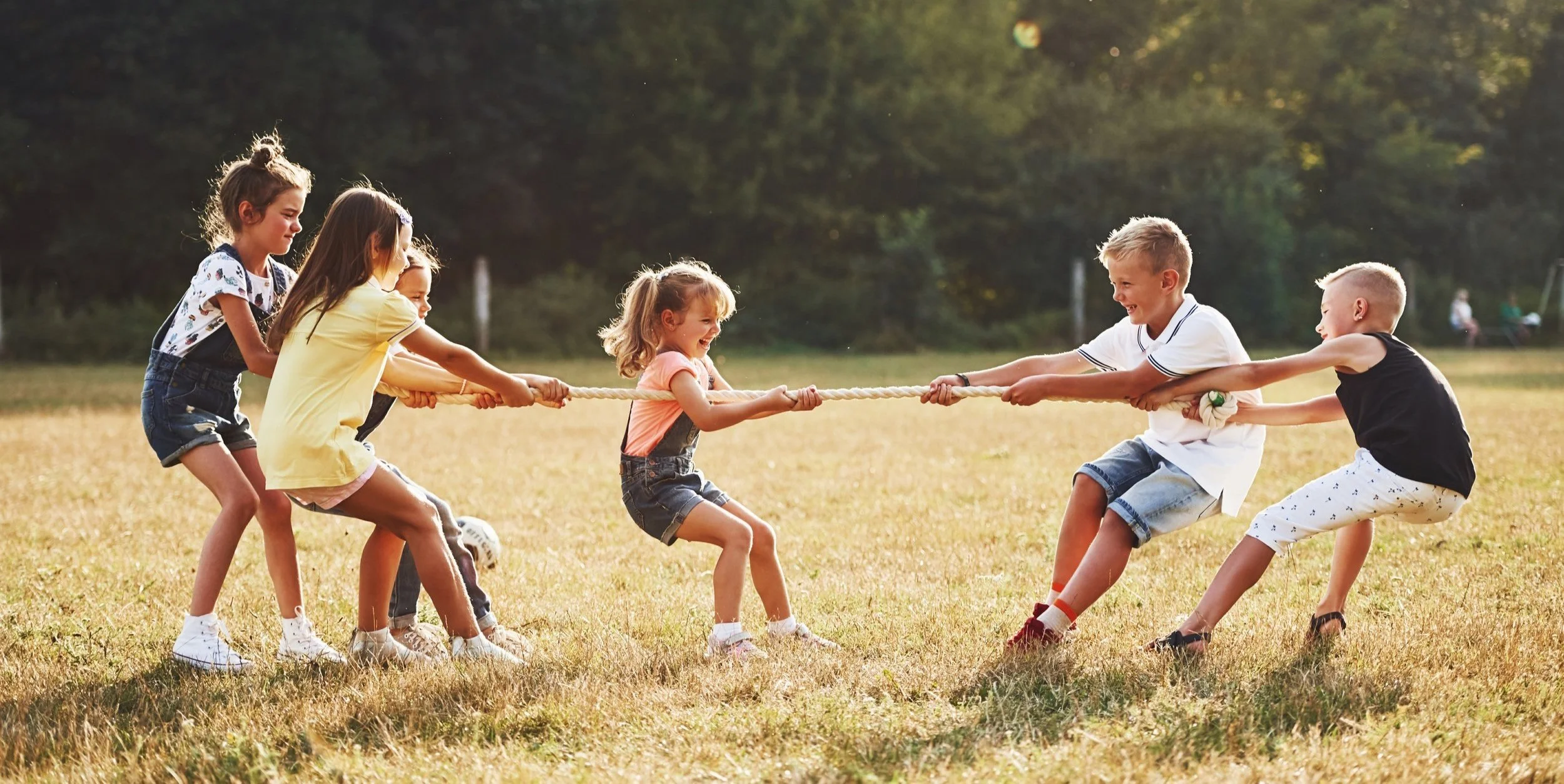 Family Inclusion Network Australia