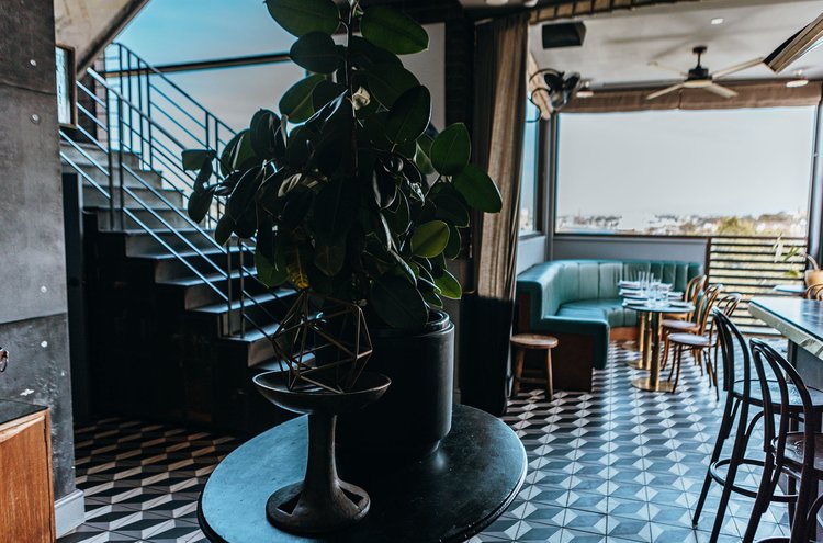 Rooftop Bar & Cocktail Lounge in Millers Point | Harbour-View ...