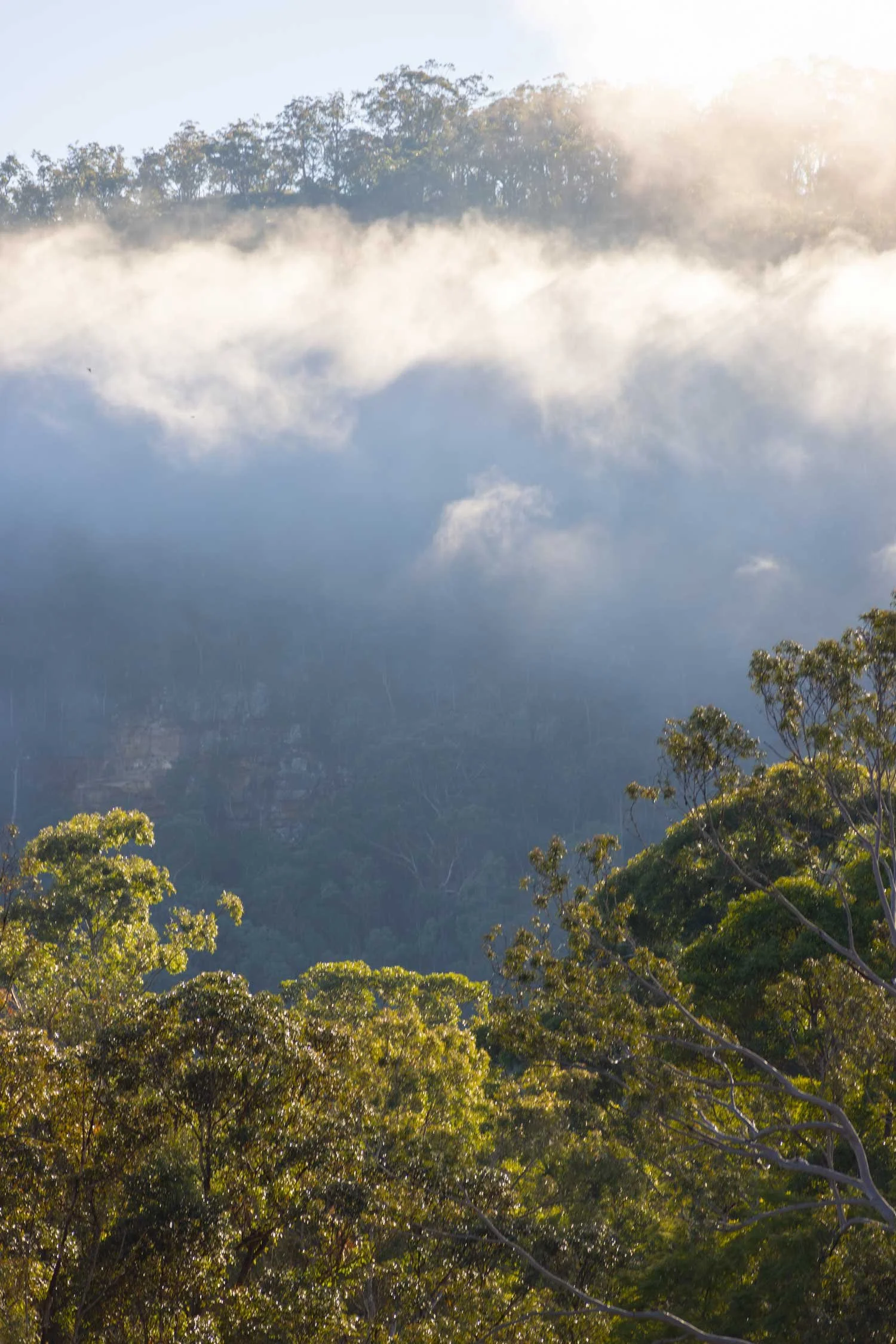Ridge View | Discover Ultimate Relaxation — Wisemans Retreat