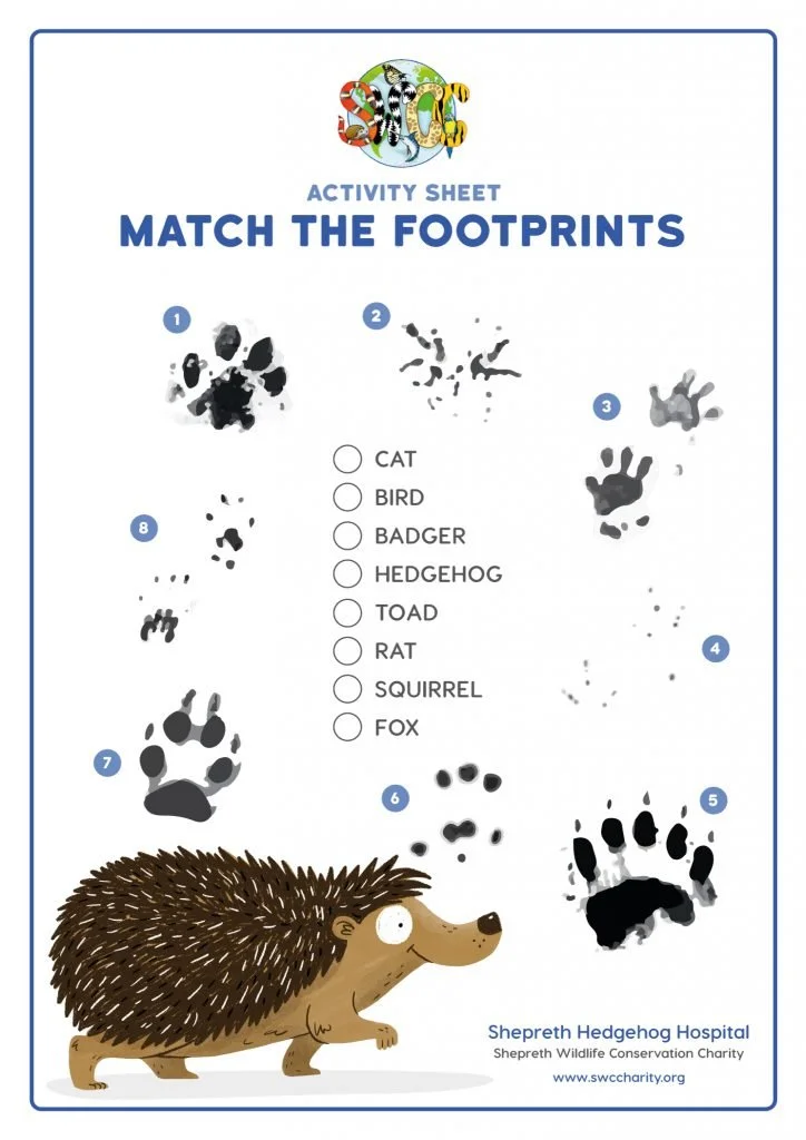 Hedgehog Children Downloadable Activity Sheets — SWCC Shepreth Wildlife ...