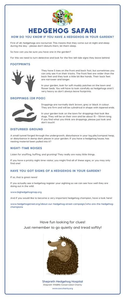 Hedgehog Children Downloadable Activity Sheets — SWCC Shepreth Wildlife ...