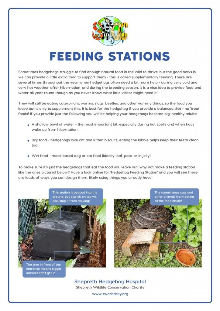 Hedgehog Children Downloadable Activity Sheets — SWCC Shepreth Wildlife ...