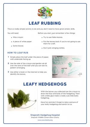 Hedgehog Children Downloadable Activity Sheets — SWCC Shepreth Wildlife ...