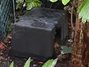 Hedgehog Feeding Guide — SWCC Shepreth Wildlife Conservation Charity