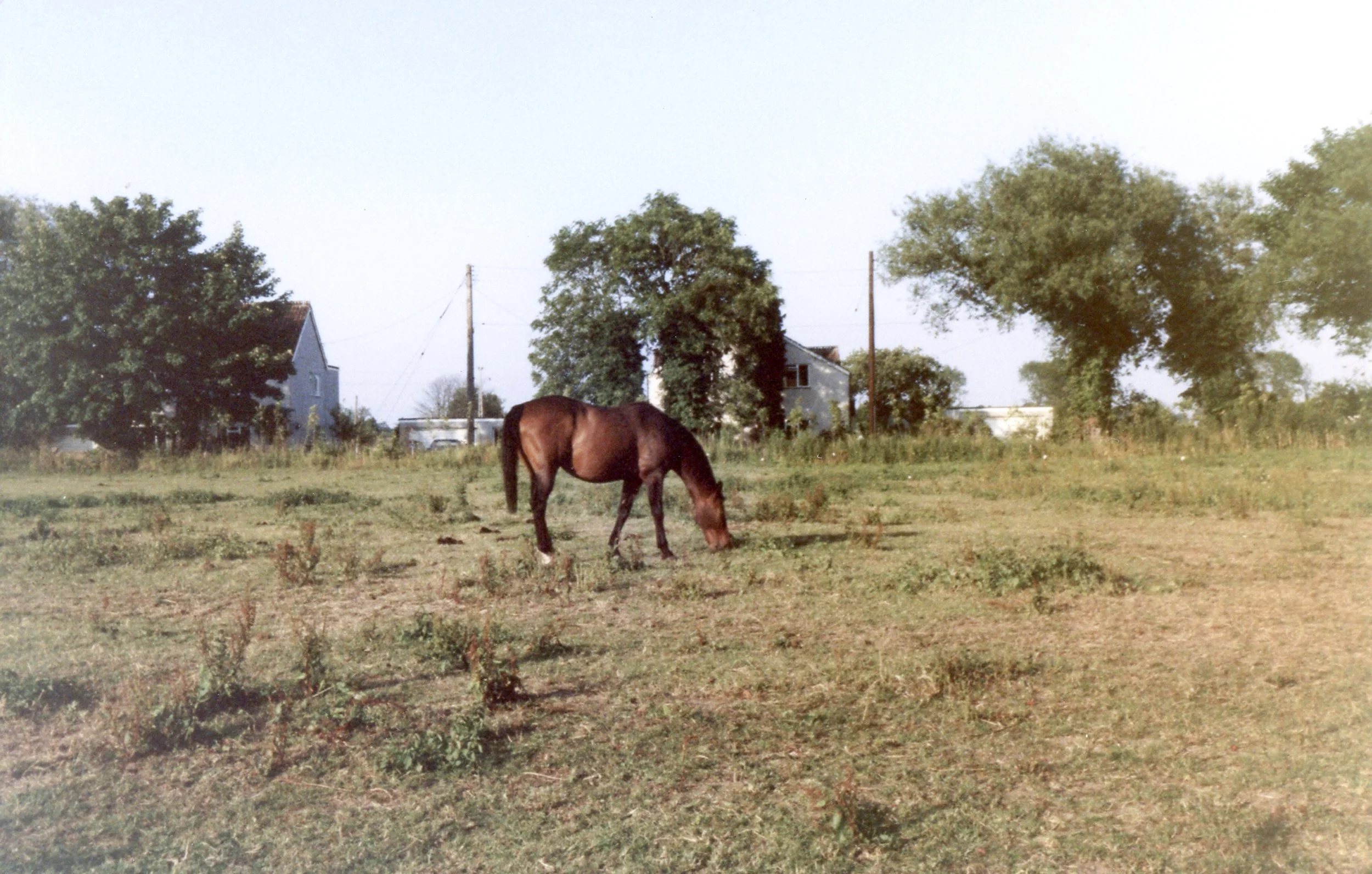 Our History — SWCC Shepreth Wildlife Conservation Charity