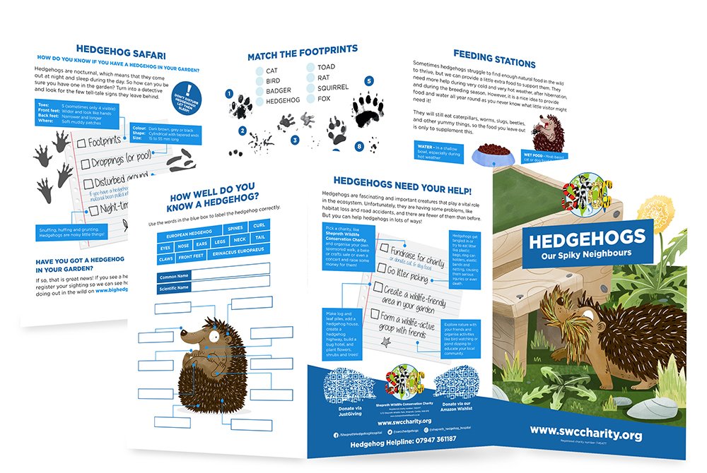 Hedgehog Children Downloadable Activity Sheets — SWCC Shepreth Wildlife ...