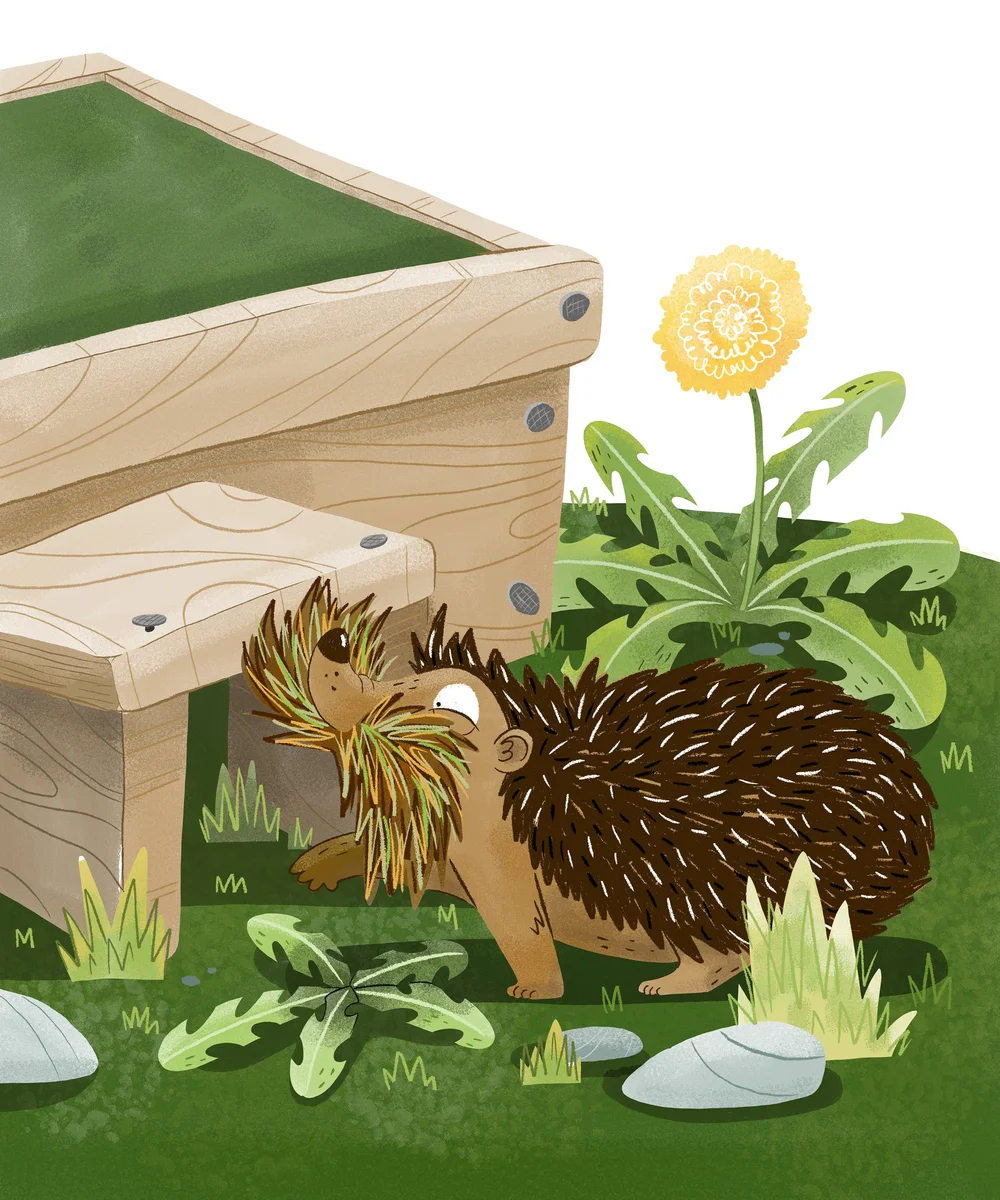 Hedgehog Children Downloadable Activity Sheets — SWCC Shepreth Wildlife ...