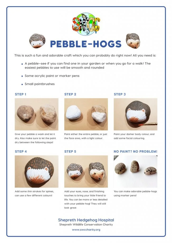 Hedgehog Children Downloadable Activity Sheets — SWCC Shepreth Wildlife ...