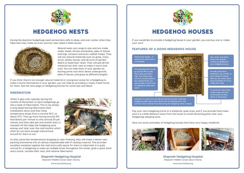 Hedgehog Children Downloadable Activity Sheets — SWCC Shepreth Wildlife ...
