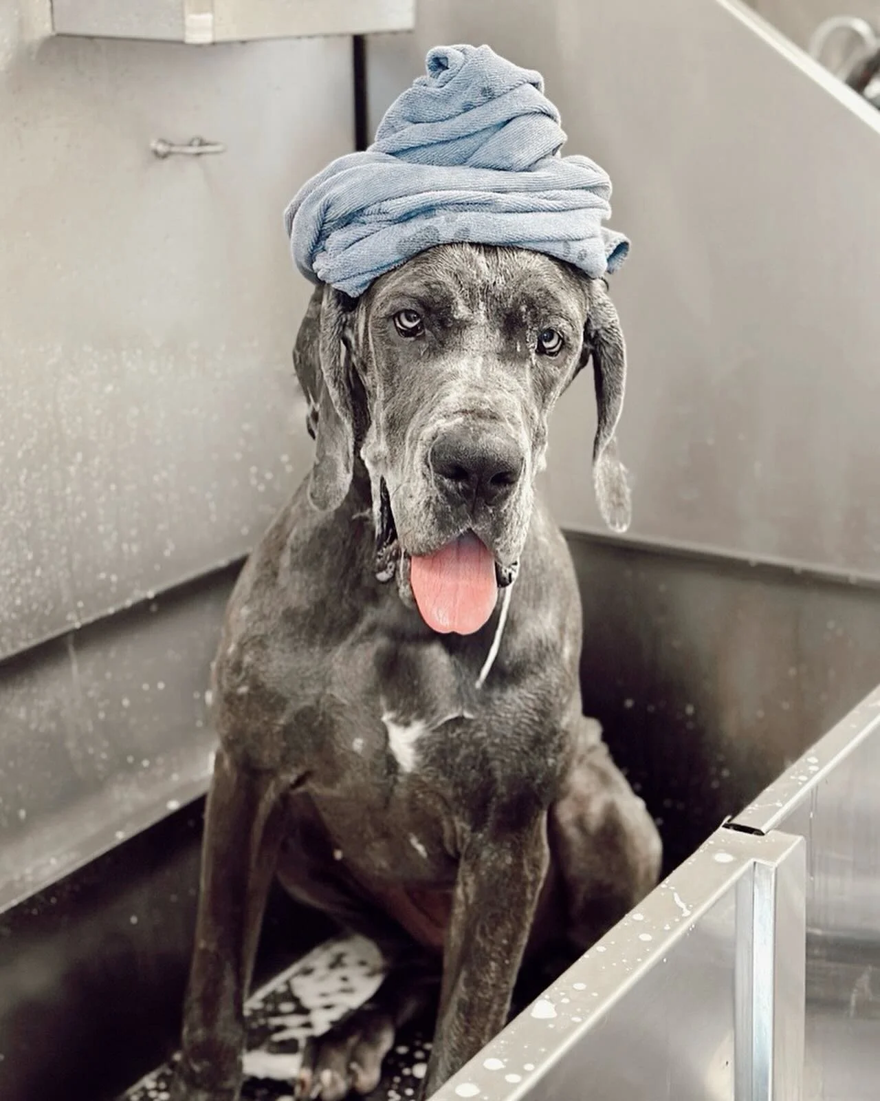 About — The Ritz Pawton