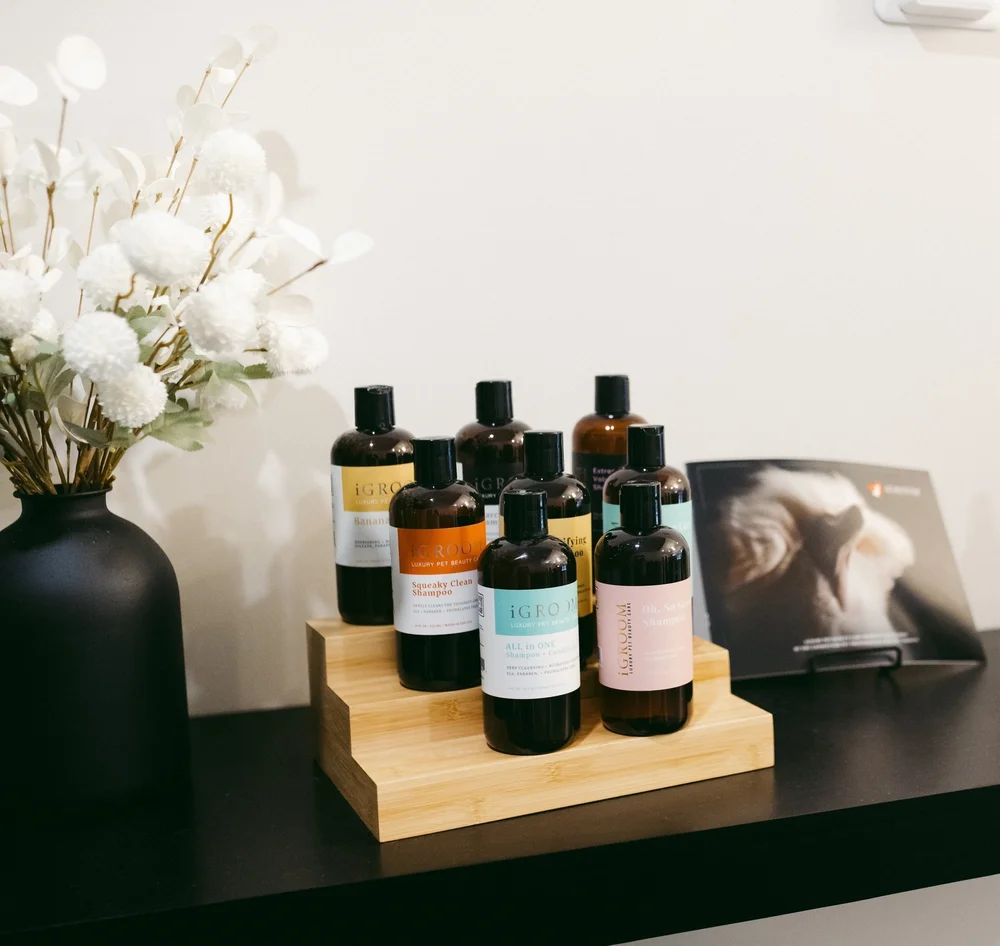 iGroom | Pamper Your Pet Now — The Ritz Pawton