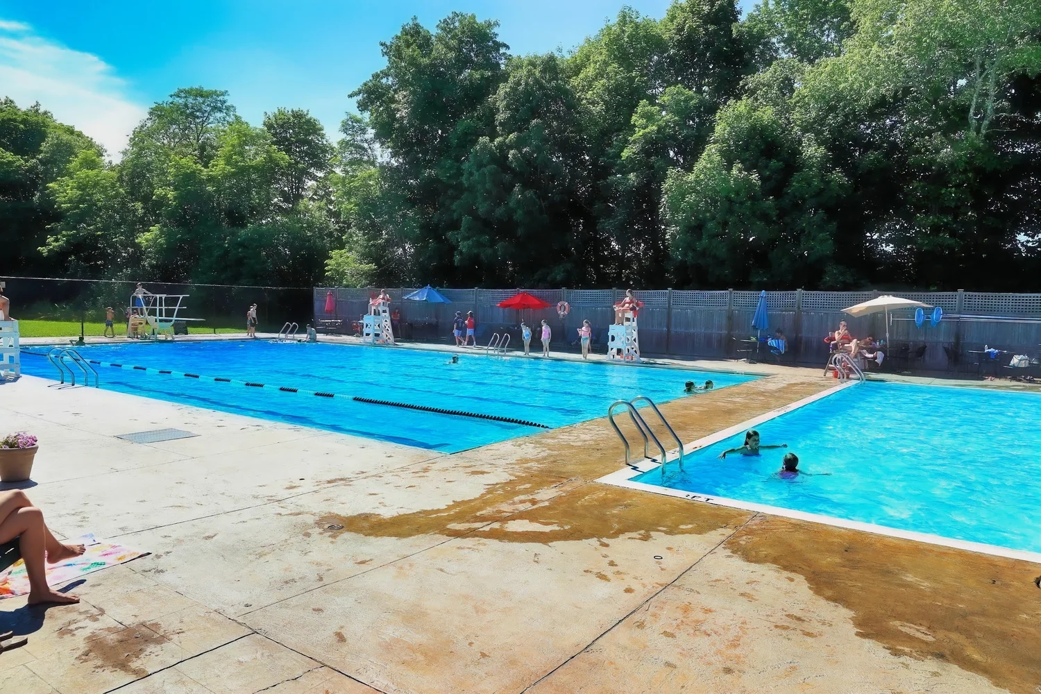 Become a Member — Cohasset Swim Center