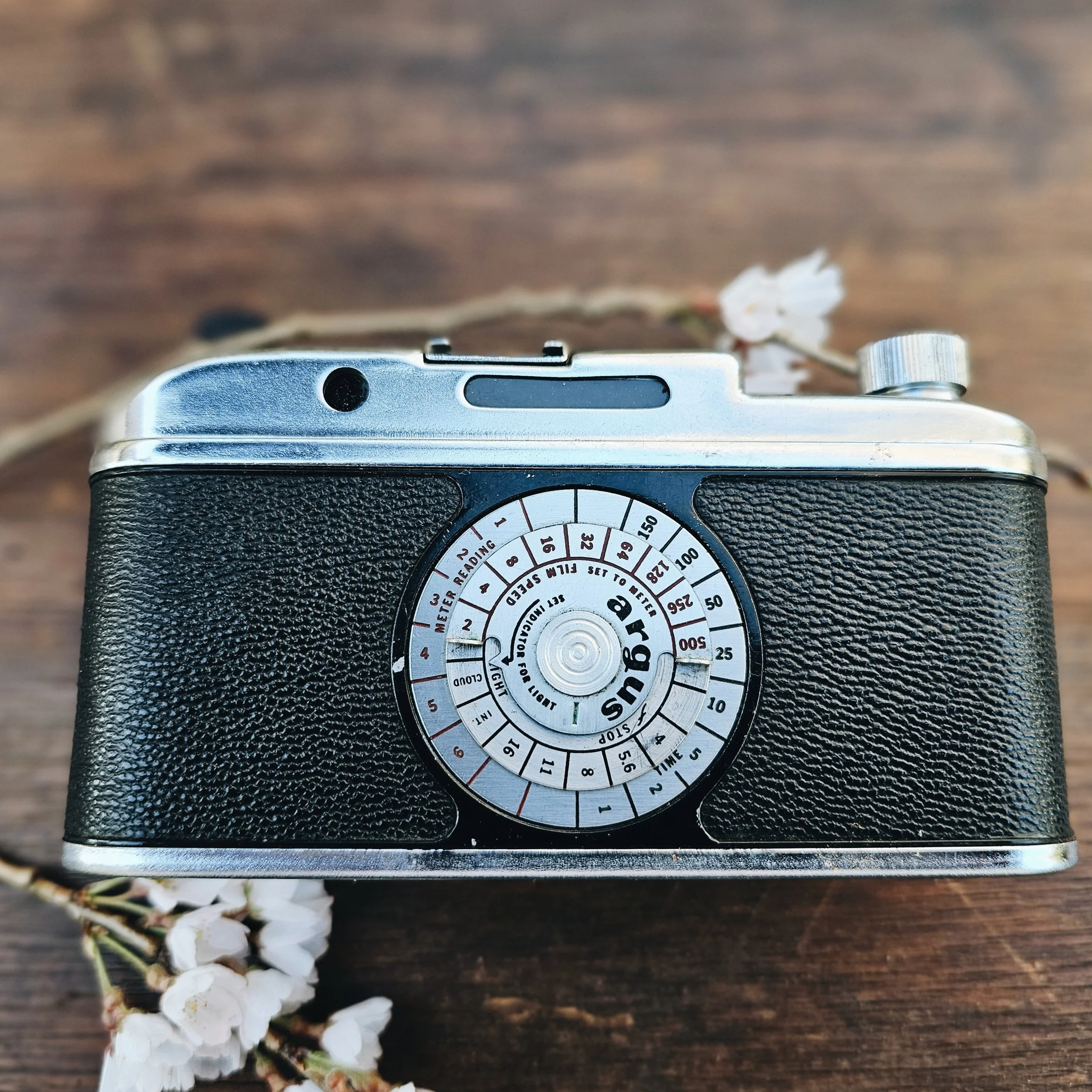 The 80+ Year Old Argus A3 + Photos — Beset by Light