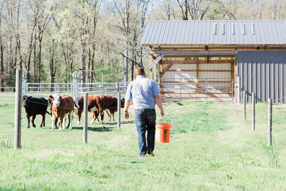 Double B Farm & Ranch