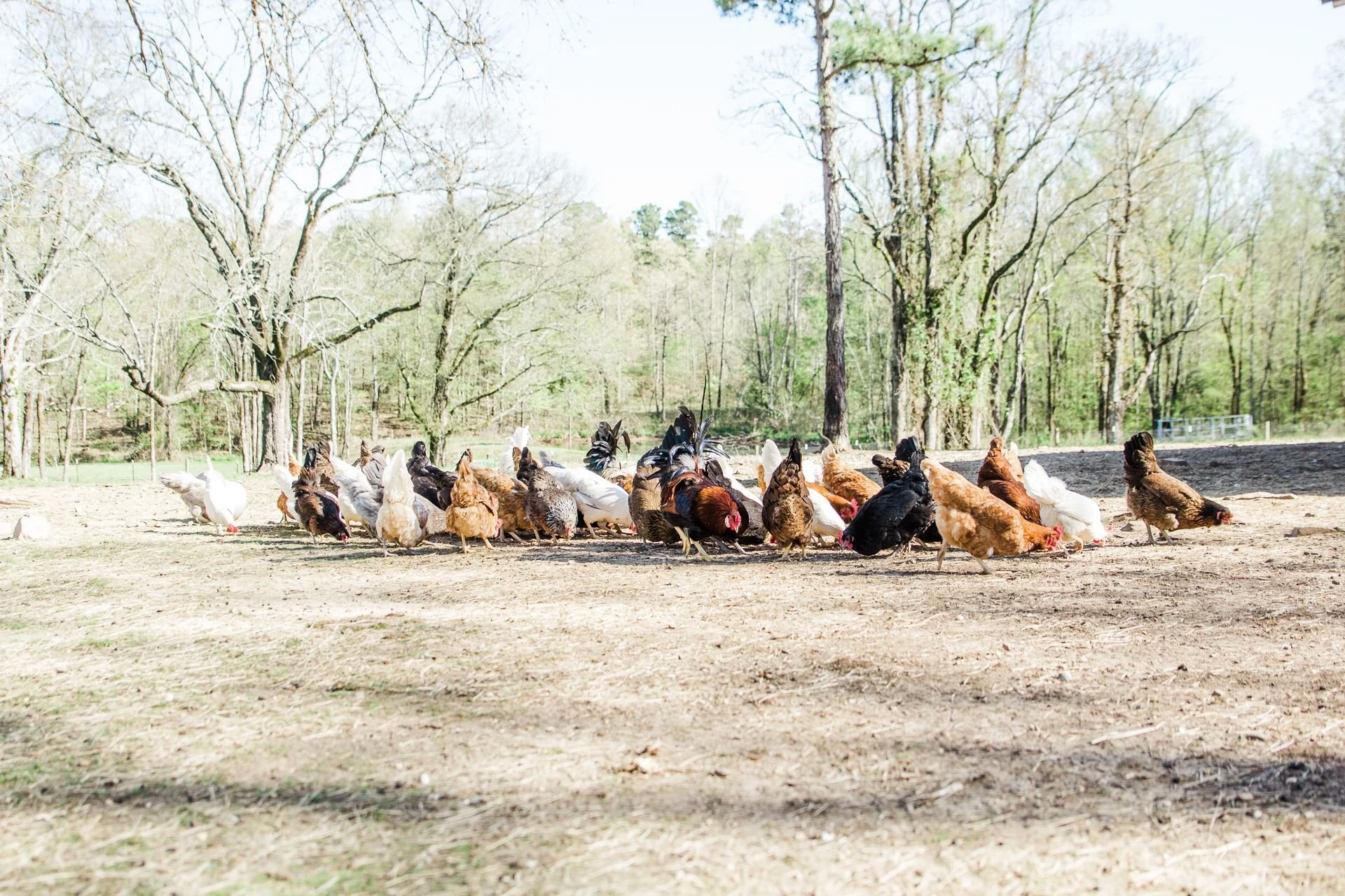 Double B Farm & Ranch
