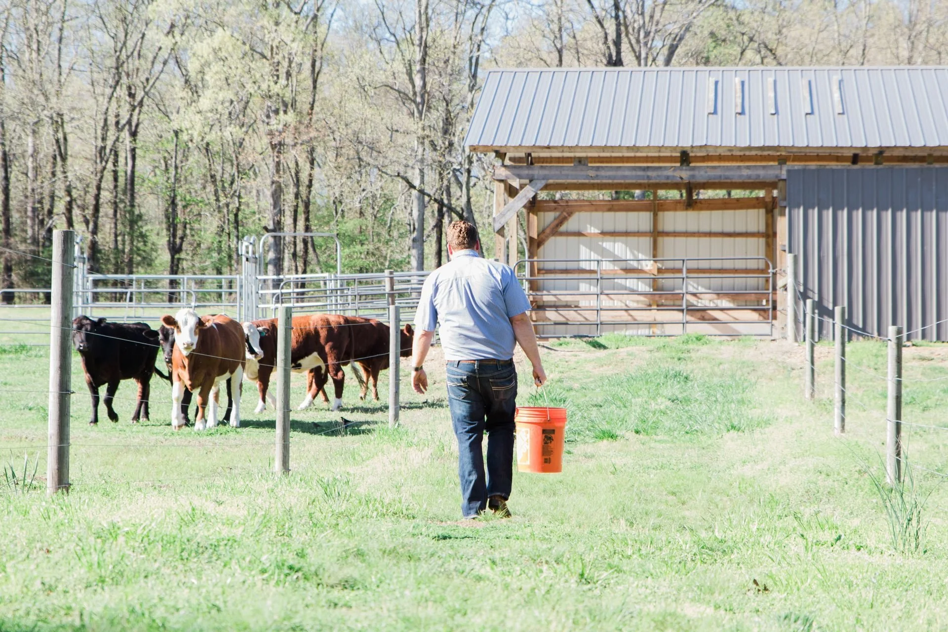 About — Double B Farm & Ranch