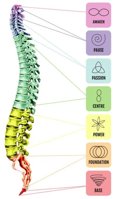 FAQ — Innate Healing Spinal Flow