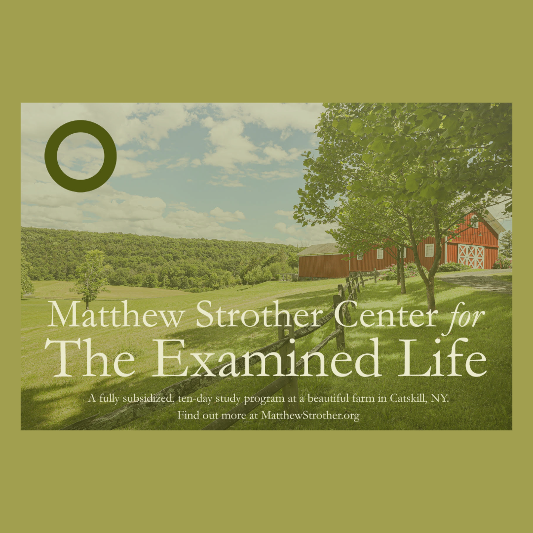 Projects — Emily Simoness