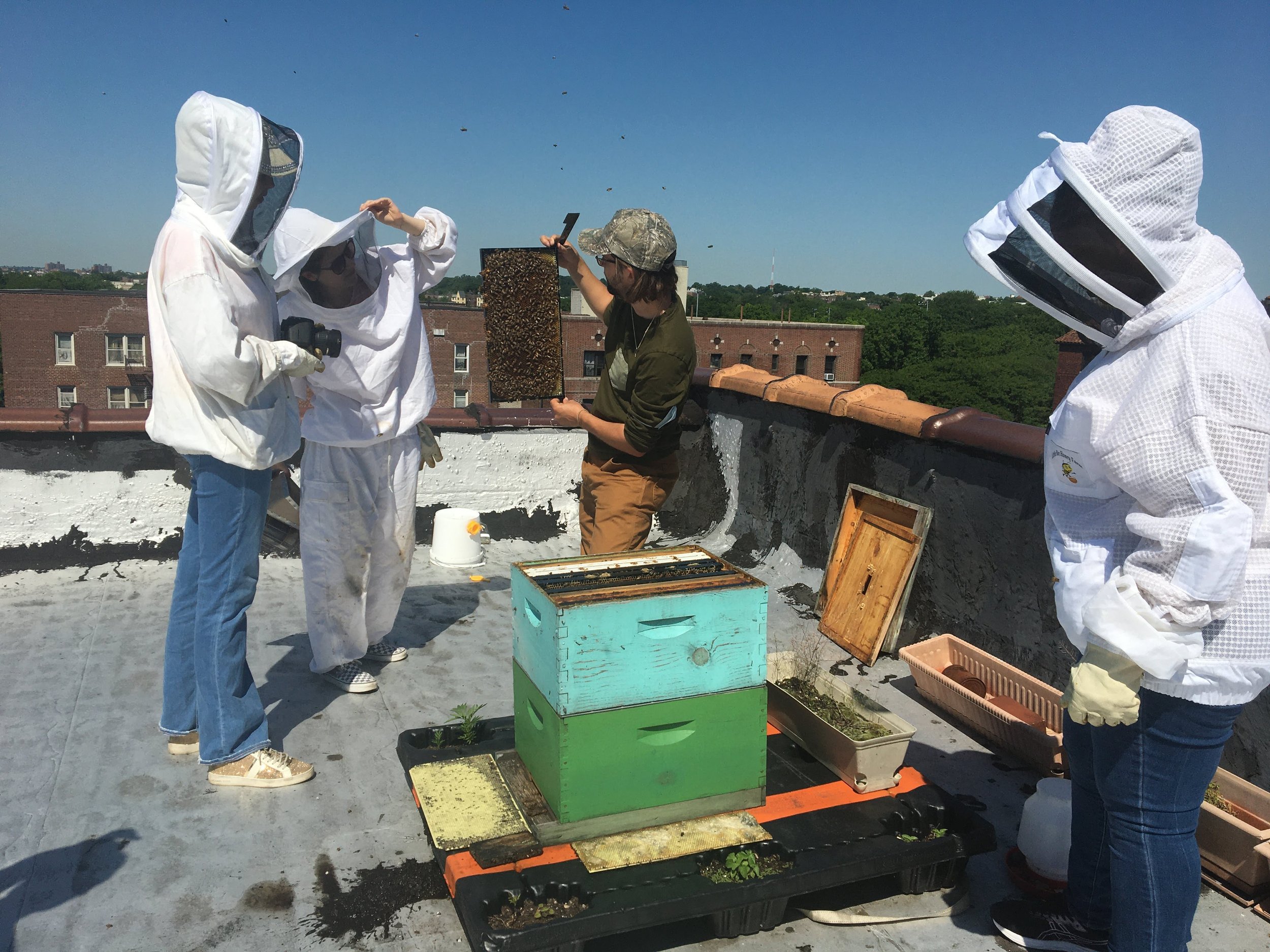 General 4 — Traveling Hive