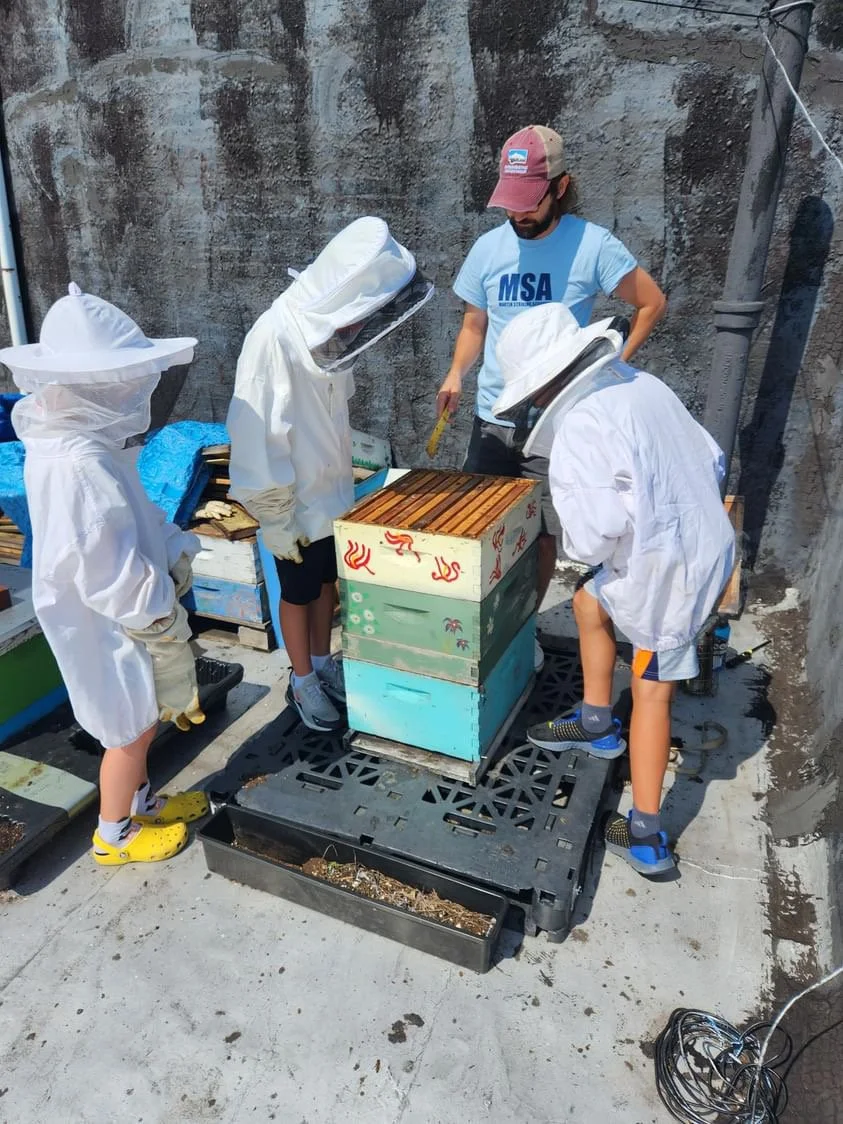 General 4 — Traveling Hive