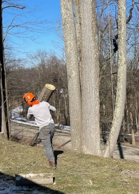 Harris Tree Service
