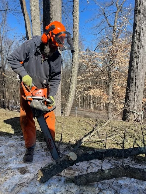 Harris Tree Service