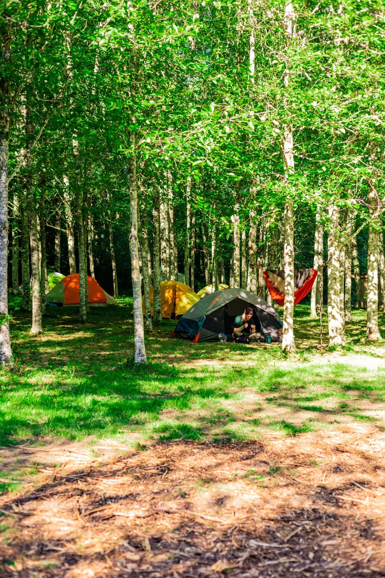 Quilcene Lantern Venue and Lodging