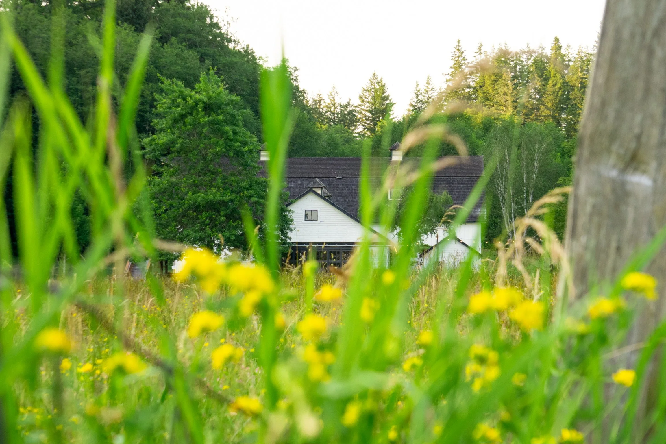 Quilcene Lantern Venue and Lodging