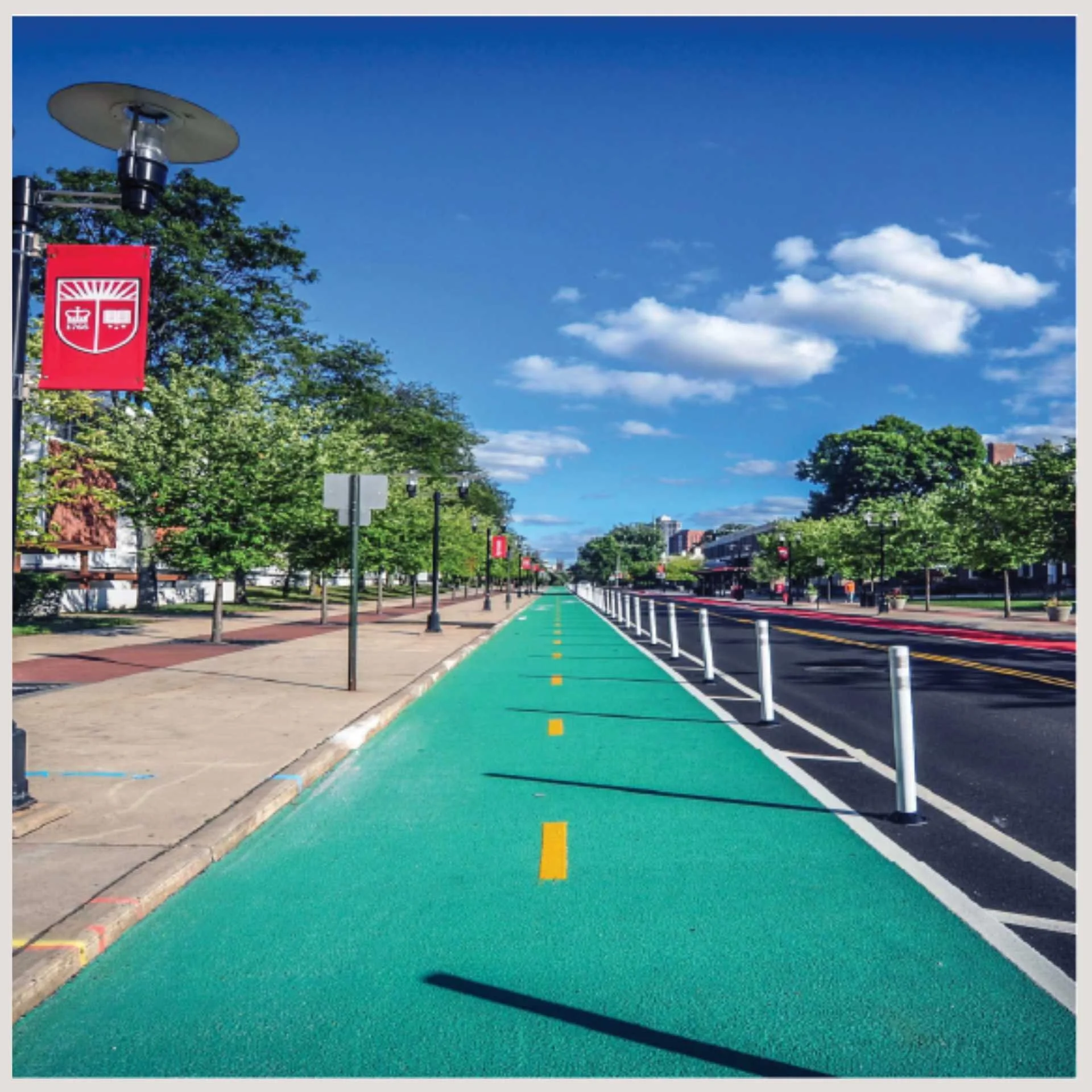 Bike Green Lane — Glenco Supply