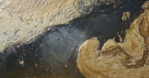 Why Your Grease Trap Is Overflowing: Key Things To Know