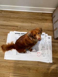 About — MC3 Design+Build