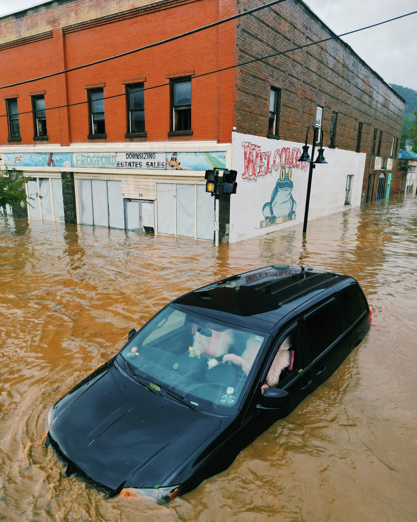 The Funky Fern Emporium
