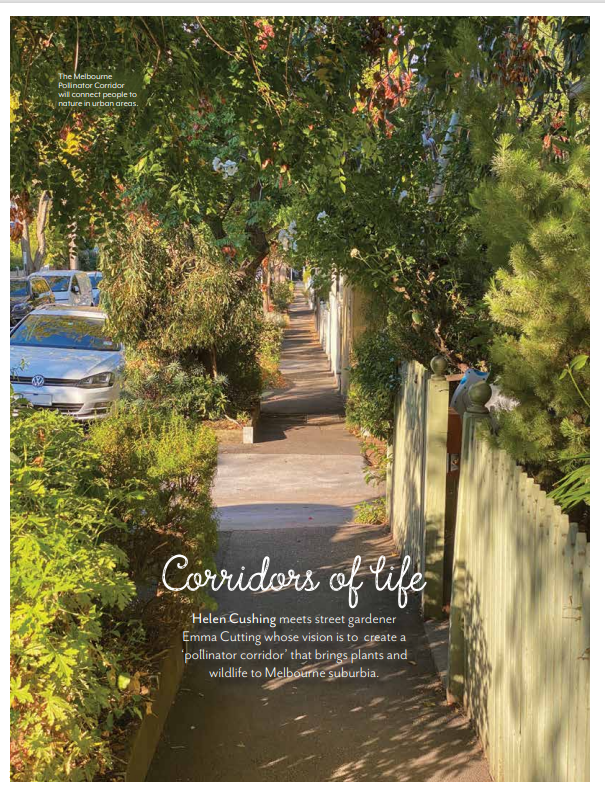 Corridors of Life — Helen Cushing