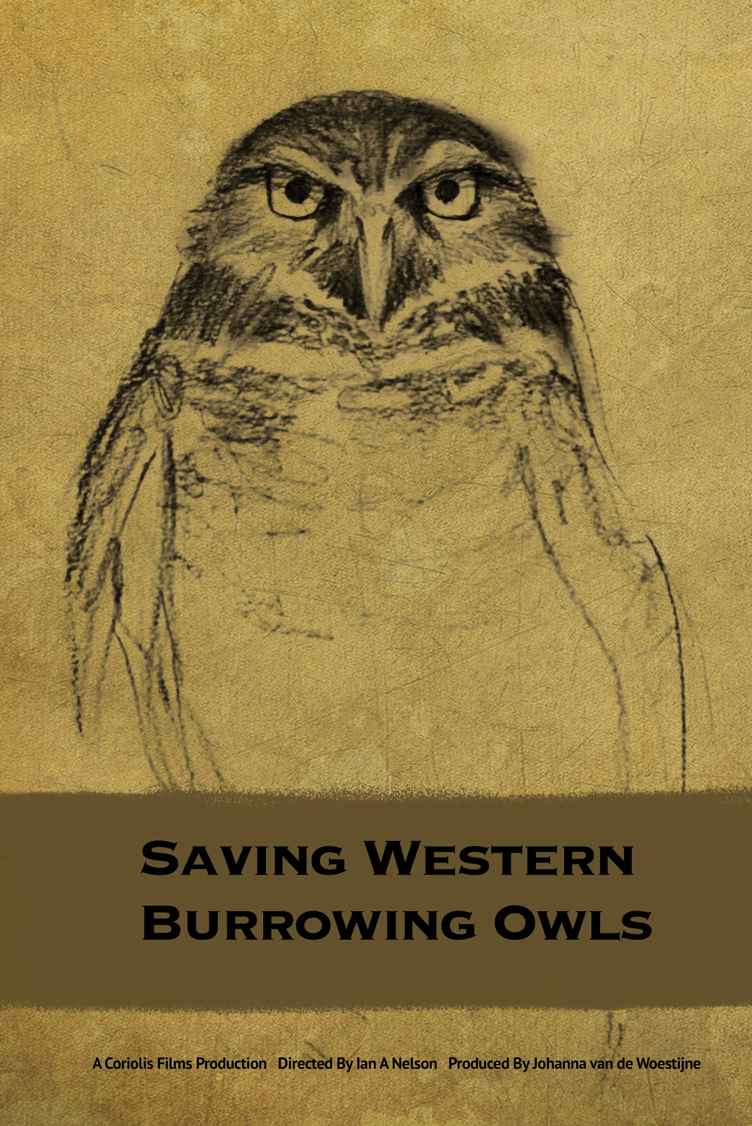 Projects _Nature_Wildlife — Ian A Nelson